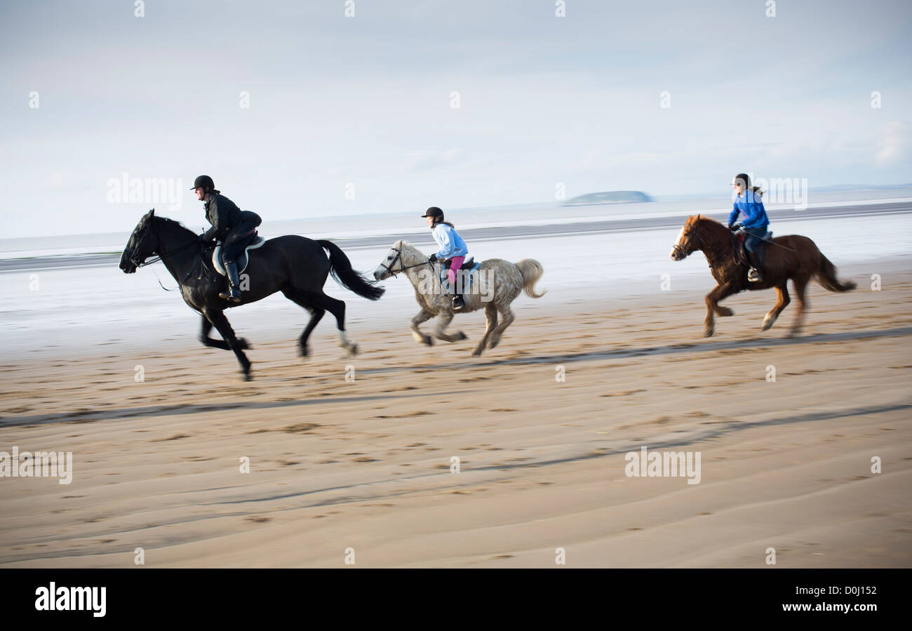 Three young horse riders small hi-res stock photography and images - Alamy