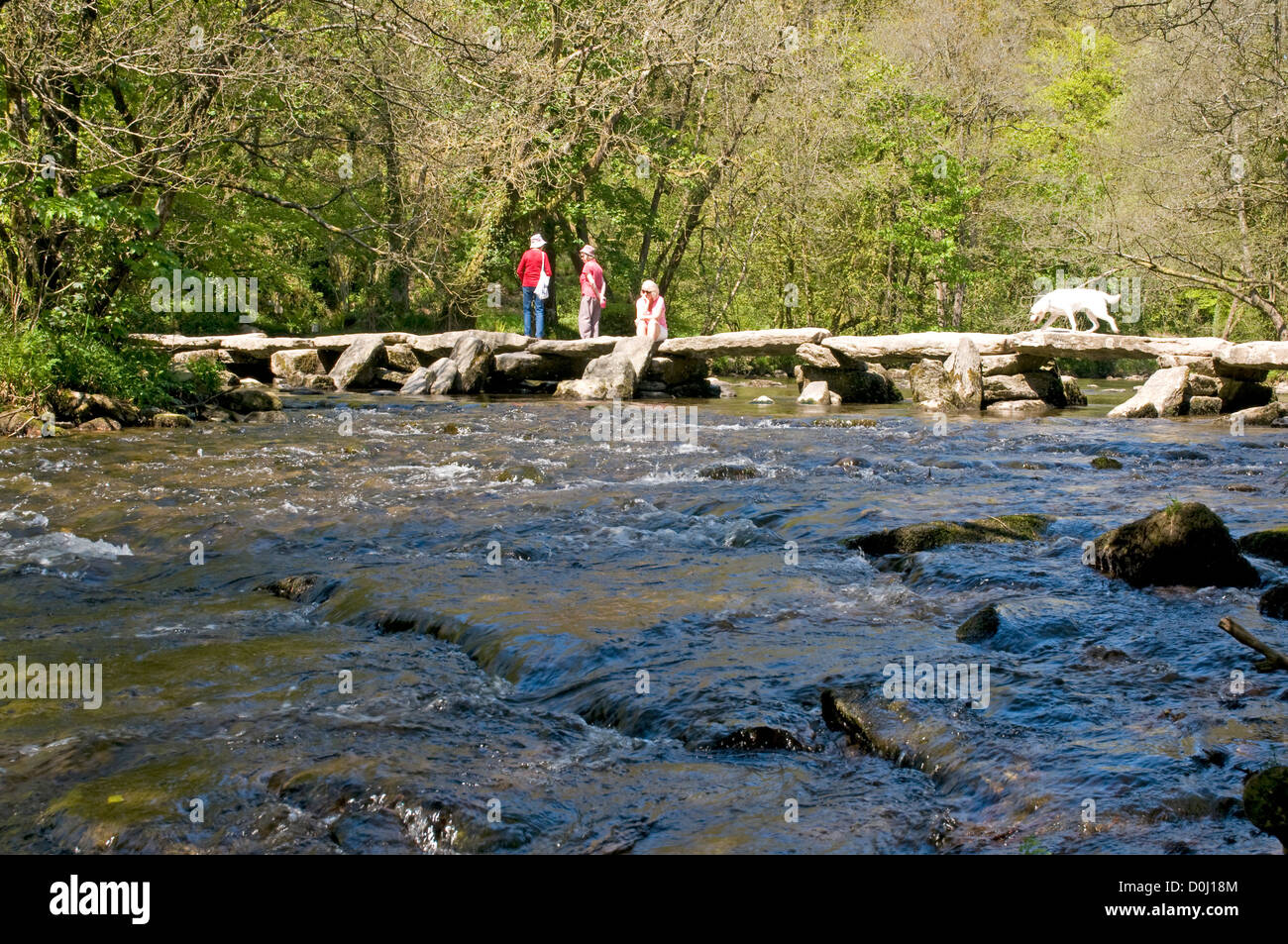 Tarr Steps ancient clapper bridge, Exmoor, Somerset Stock Photo - Alamy