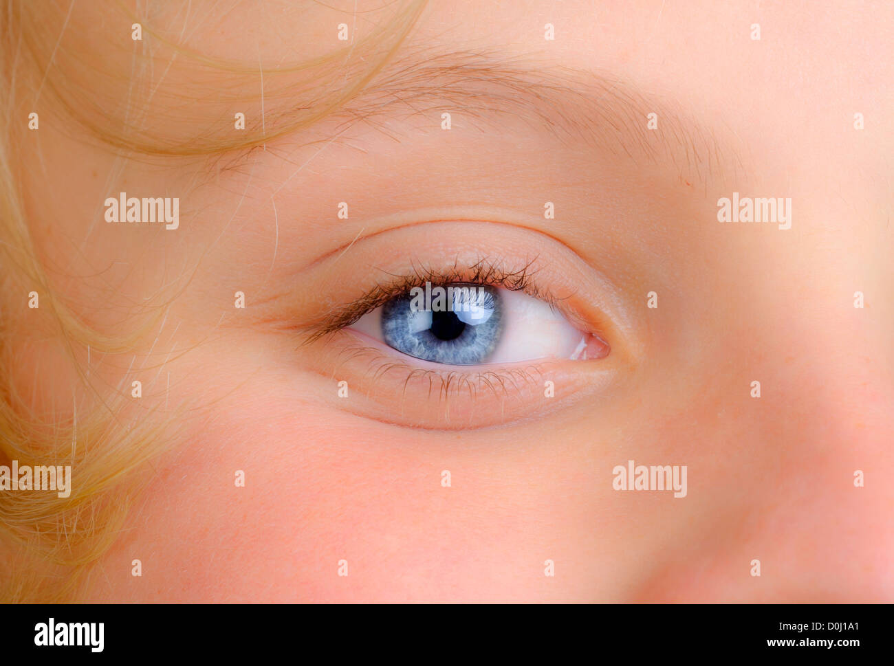 Eye - blue Stock Photo - Alamy