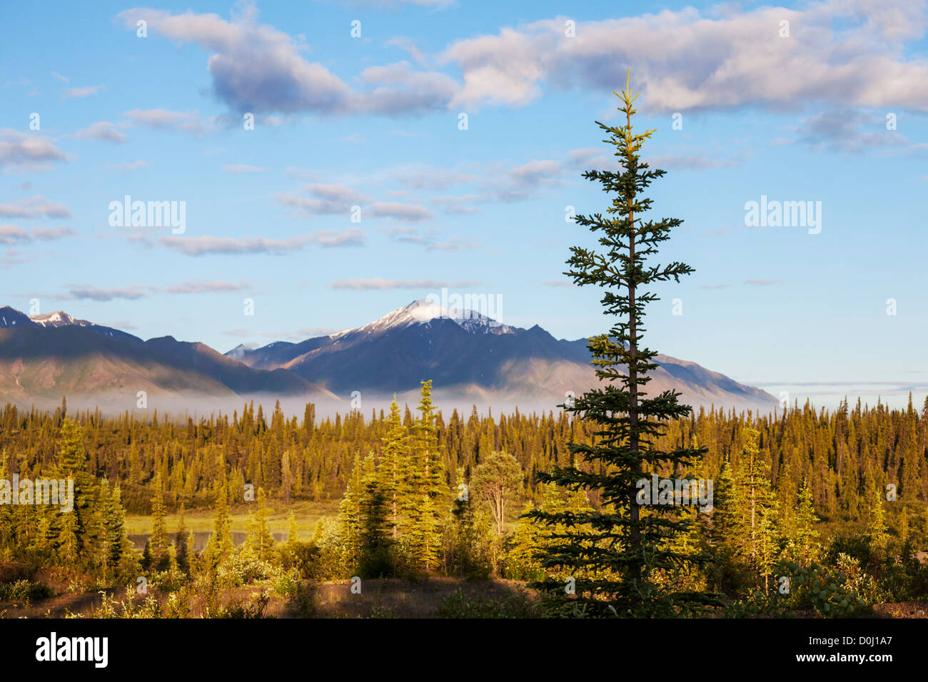 Fairbanks alaska summer hi-res stock photography and images - Alamy