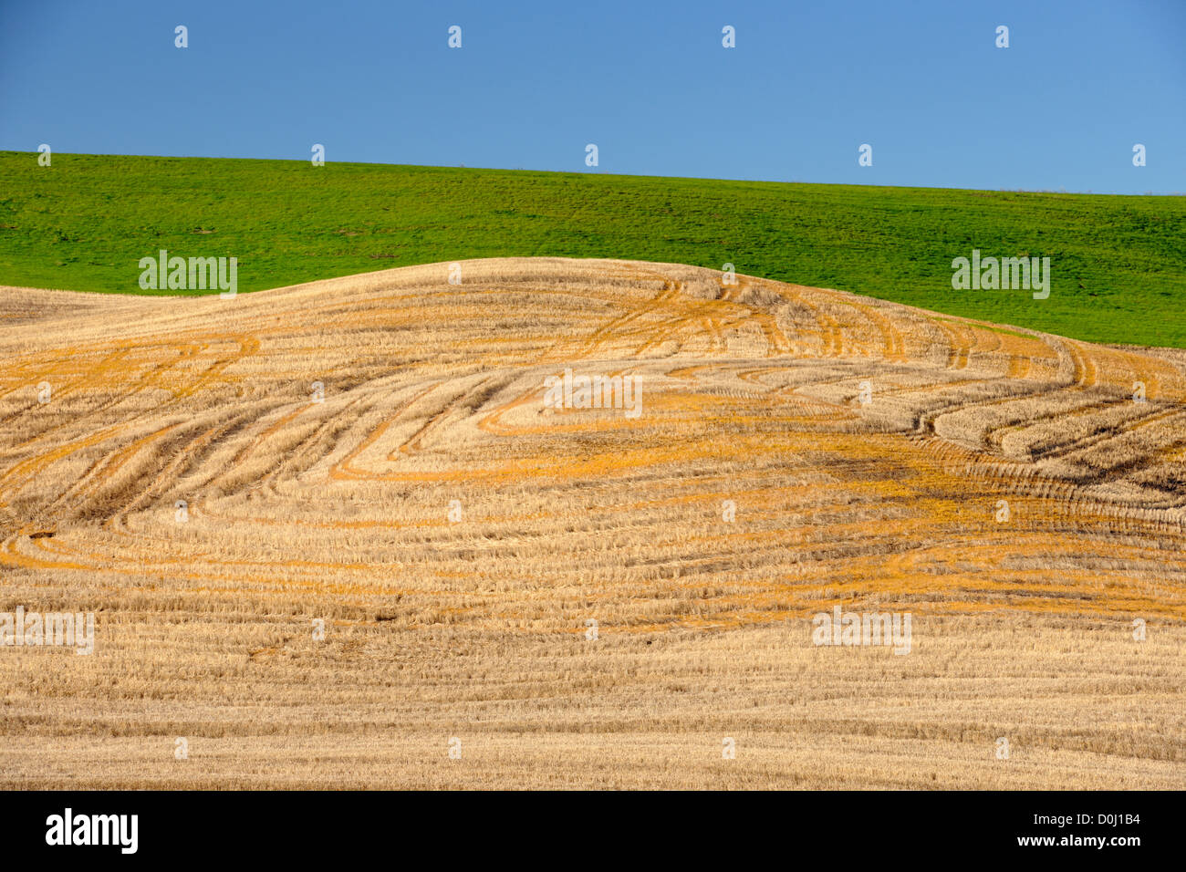 Palouse farmland in spring, near Palouse, Washington, USA Stock Photo ...