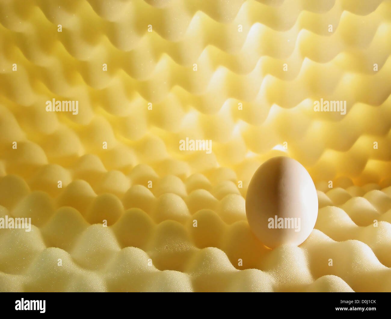 Egg carton foam hi-res stock photography and images - Alamy