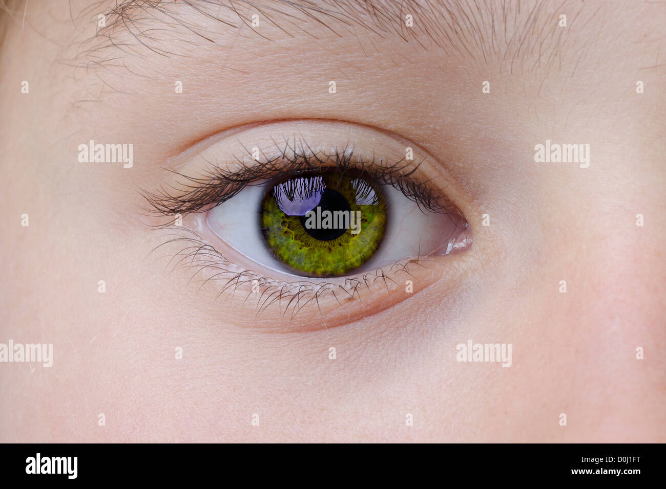 Green human eye hi-res stock photography and images - Alamy