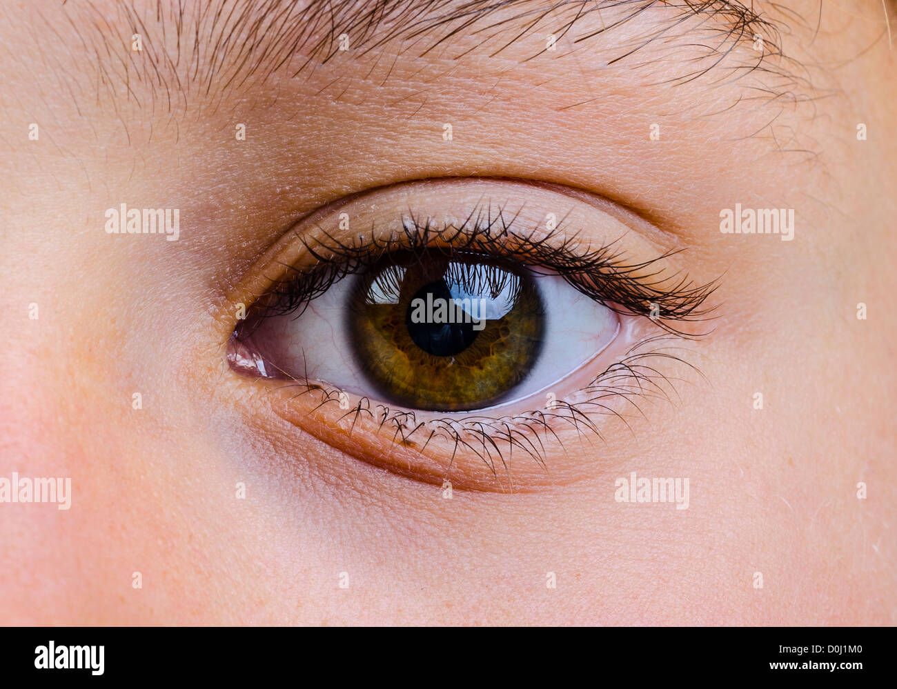 Eye - brown Stock Photo - Alamy