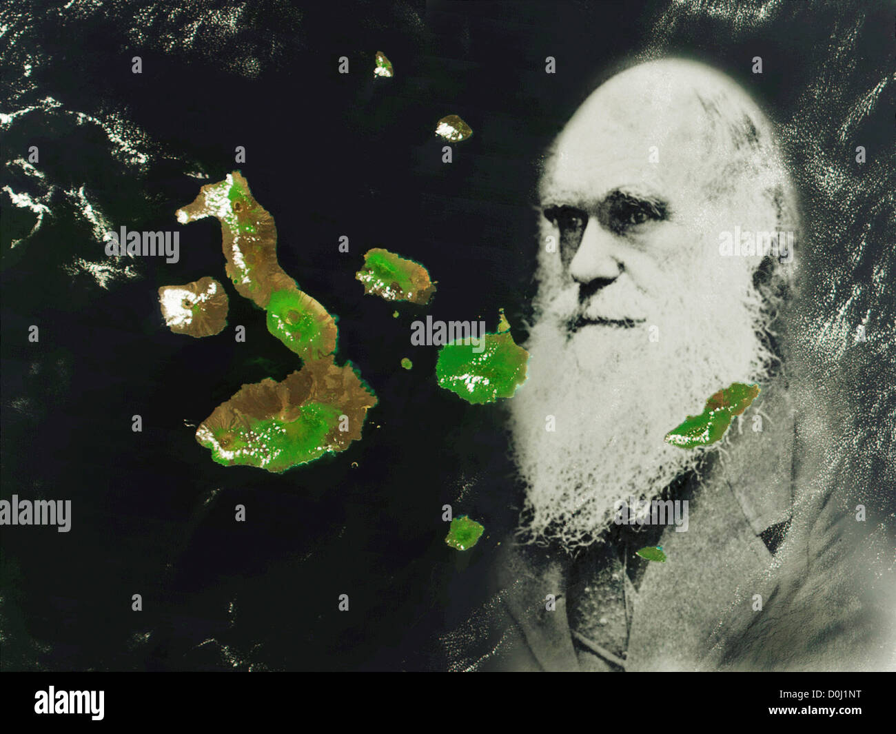 Photo Illustration of Charles Darwin Looking Out Over the Galapagos ...