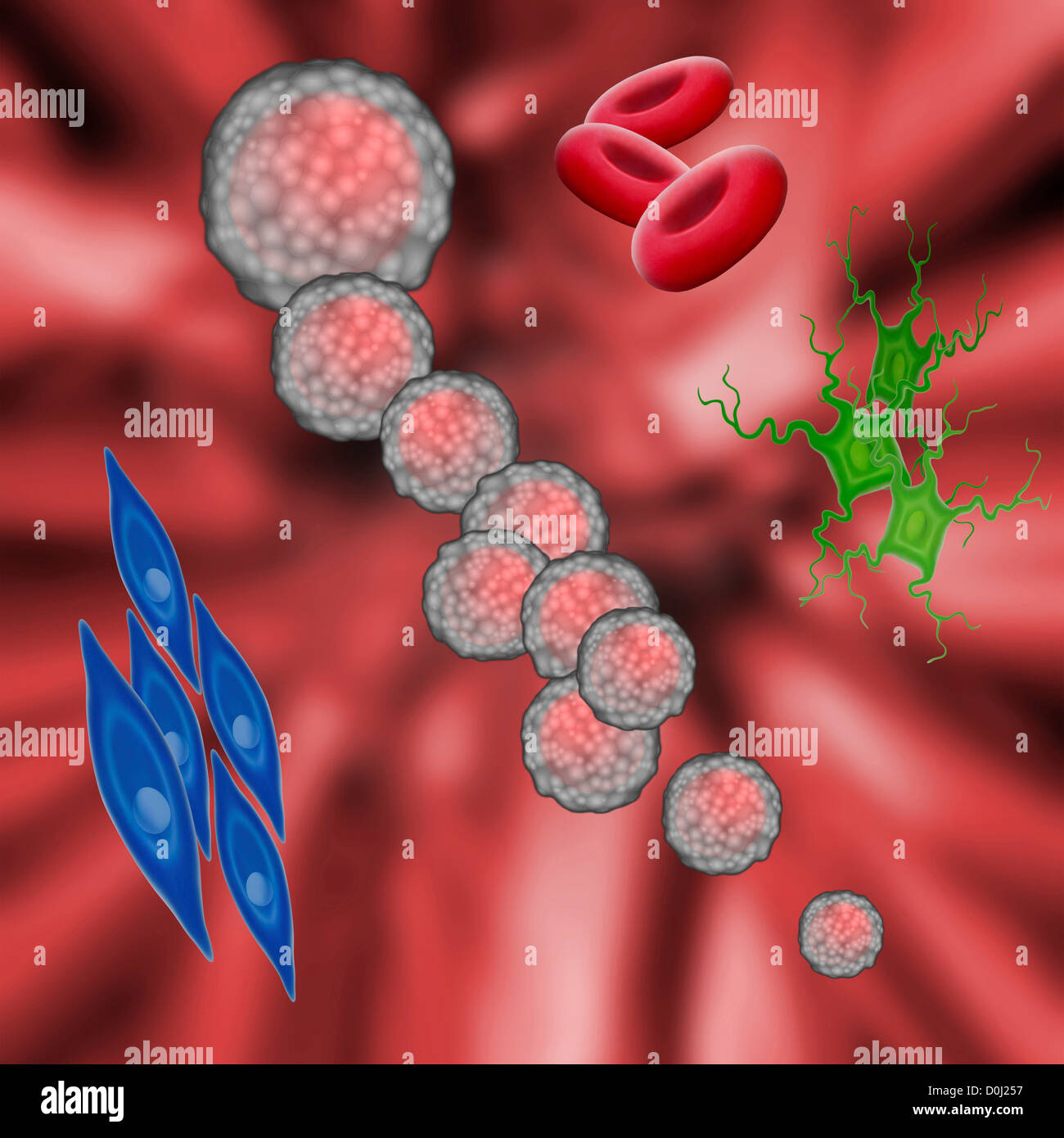 Digital Illustration of Stem Cell research and Possible Uses Stock ...