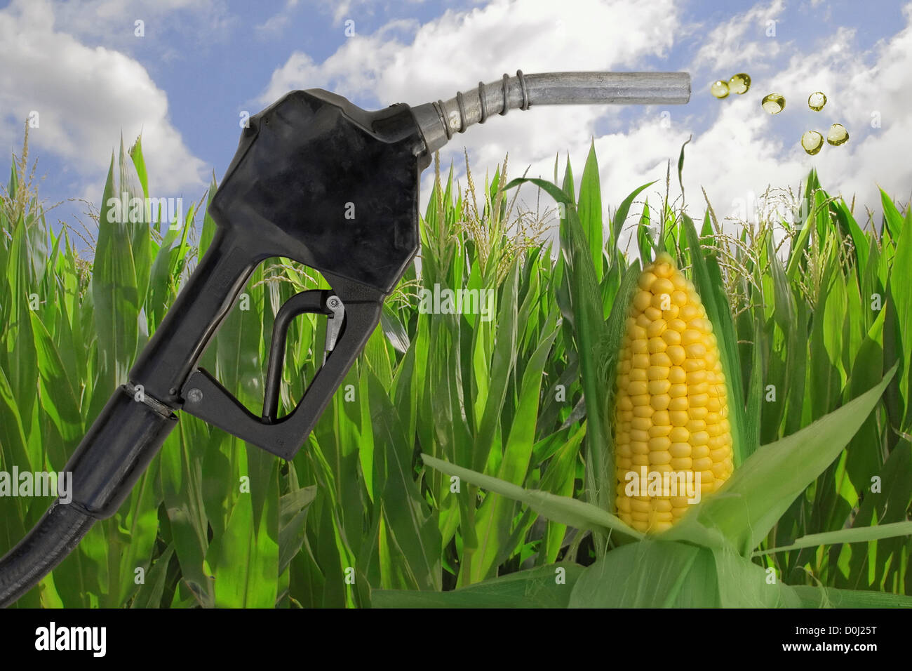 Digital Photo Illustration of Biodiesel with Corn Cob as Gas Nozzle ...