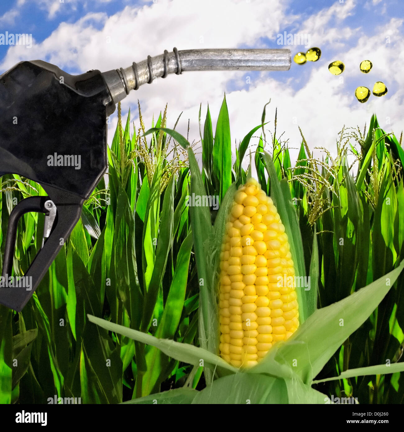 Digital Photo Illustration of Biodiesel Stock Photo - Alamy