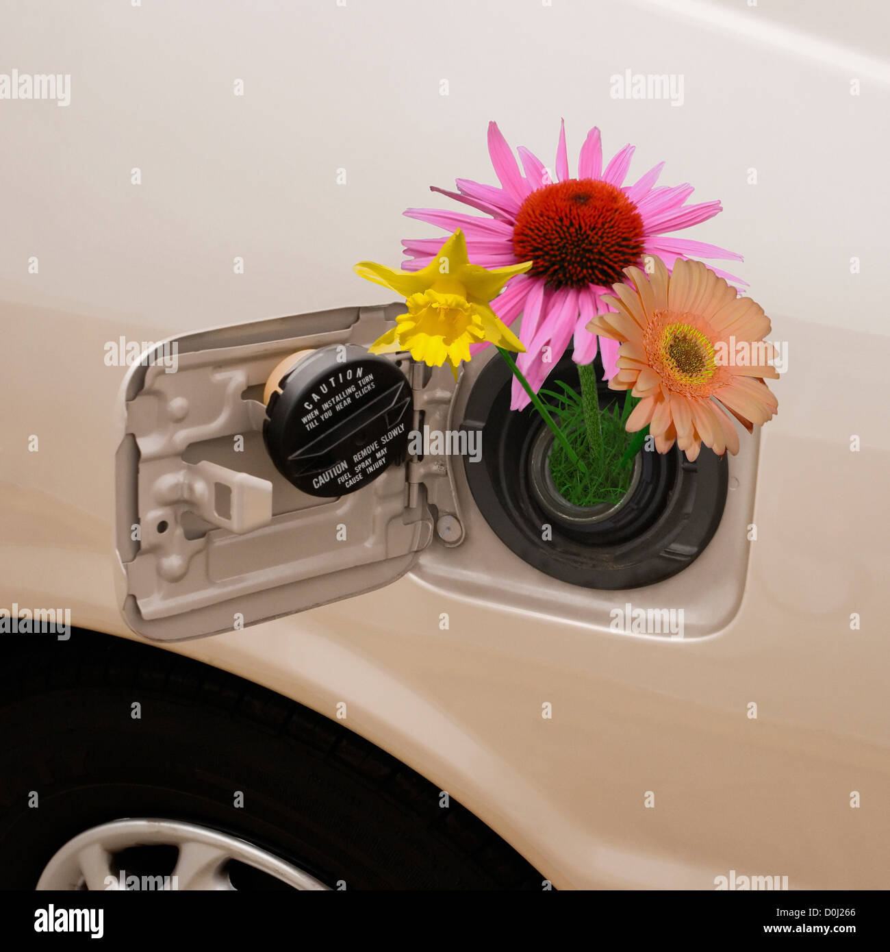 Potential flowers hi-res stock photography and images - Alamy