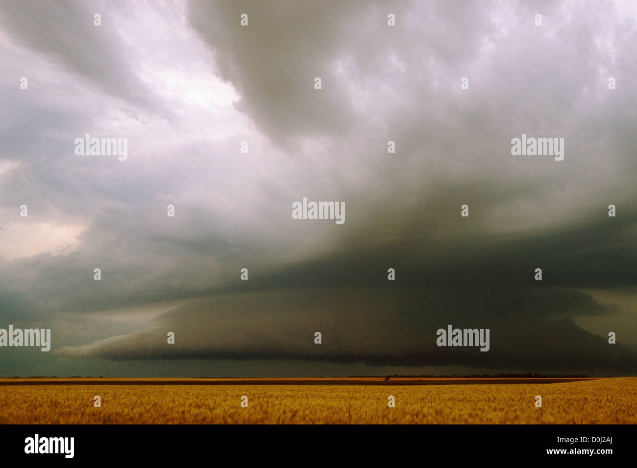 An Ominous Wall Cloud Moves Over Kansas Farmland Stock Photo - Alamy