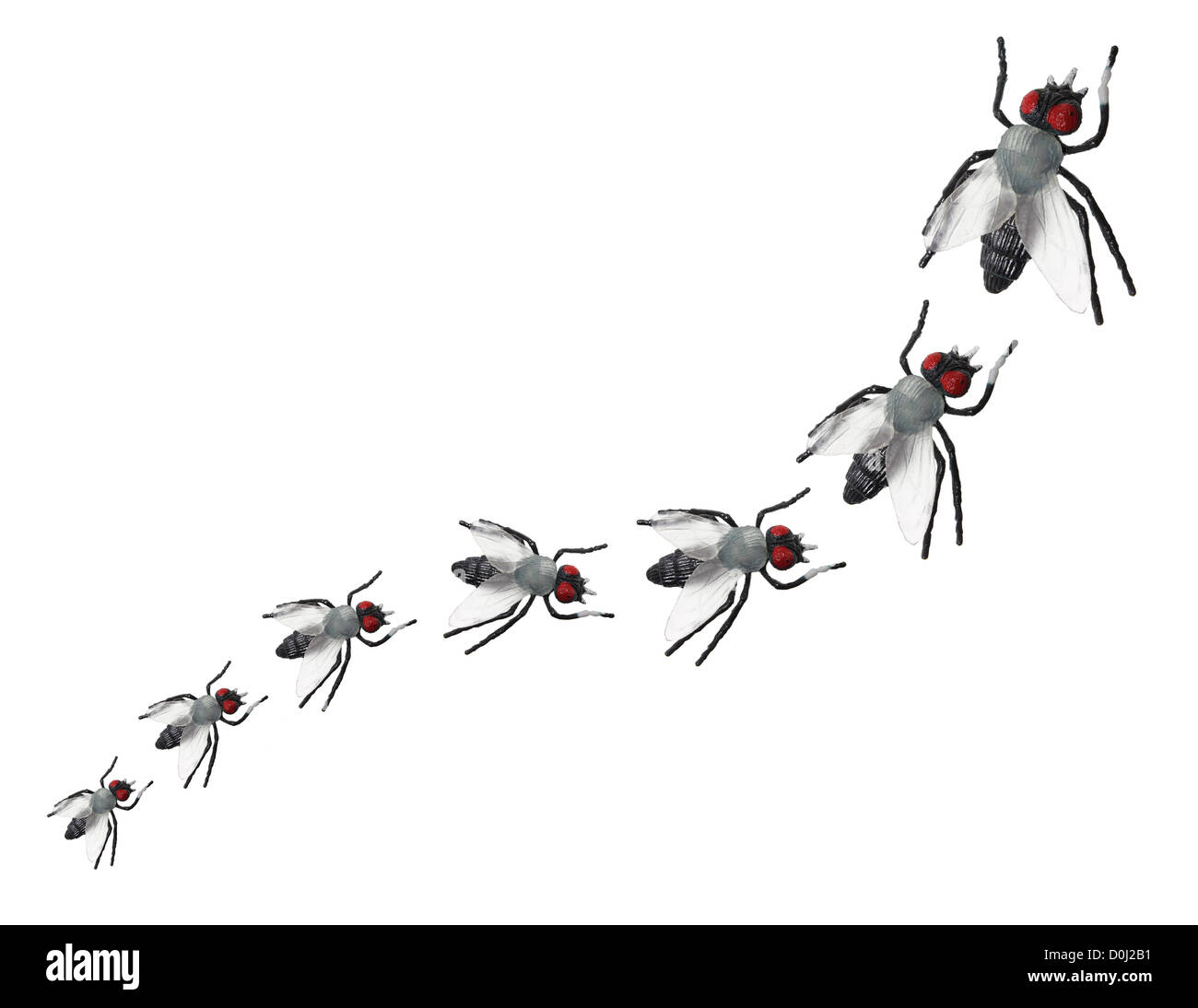 House flies hi-res stock photography and images - Alamy