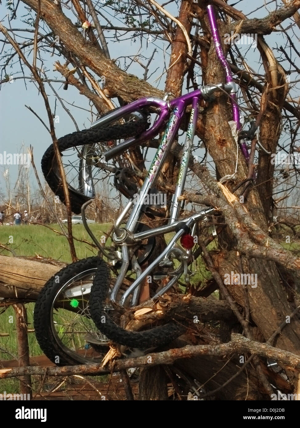 A Child's Bicycle is Wrapped Around a Destroyed Tree Stock Photo - Alamy