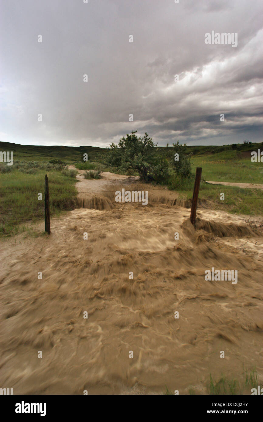 Flash Flood Turns a Dry Gully into a Raging Torrent Stock Photo - Alamy