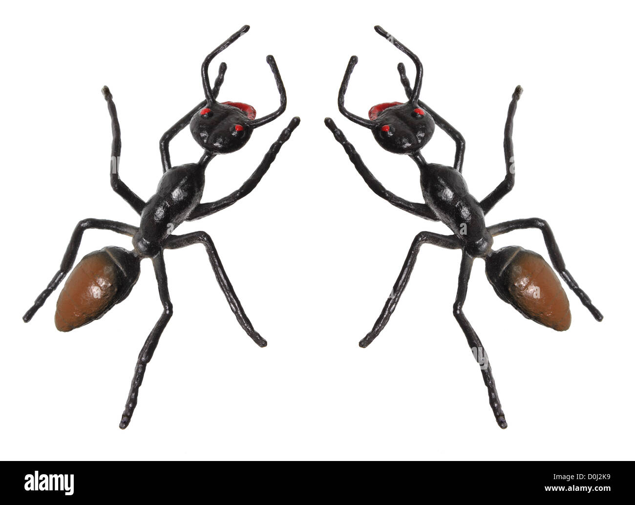 Plastic ants hi-res stock photography and images - Alamy