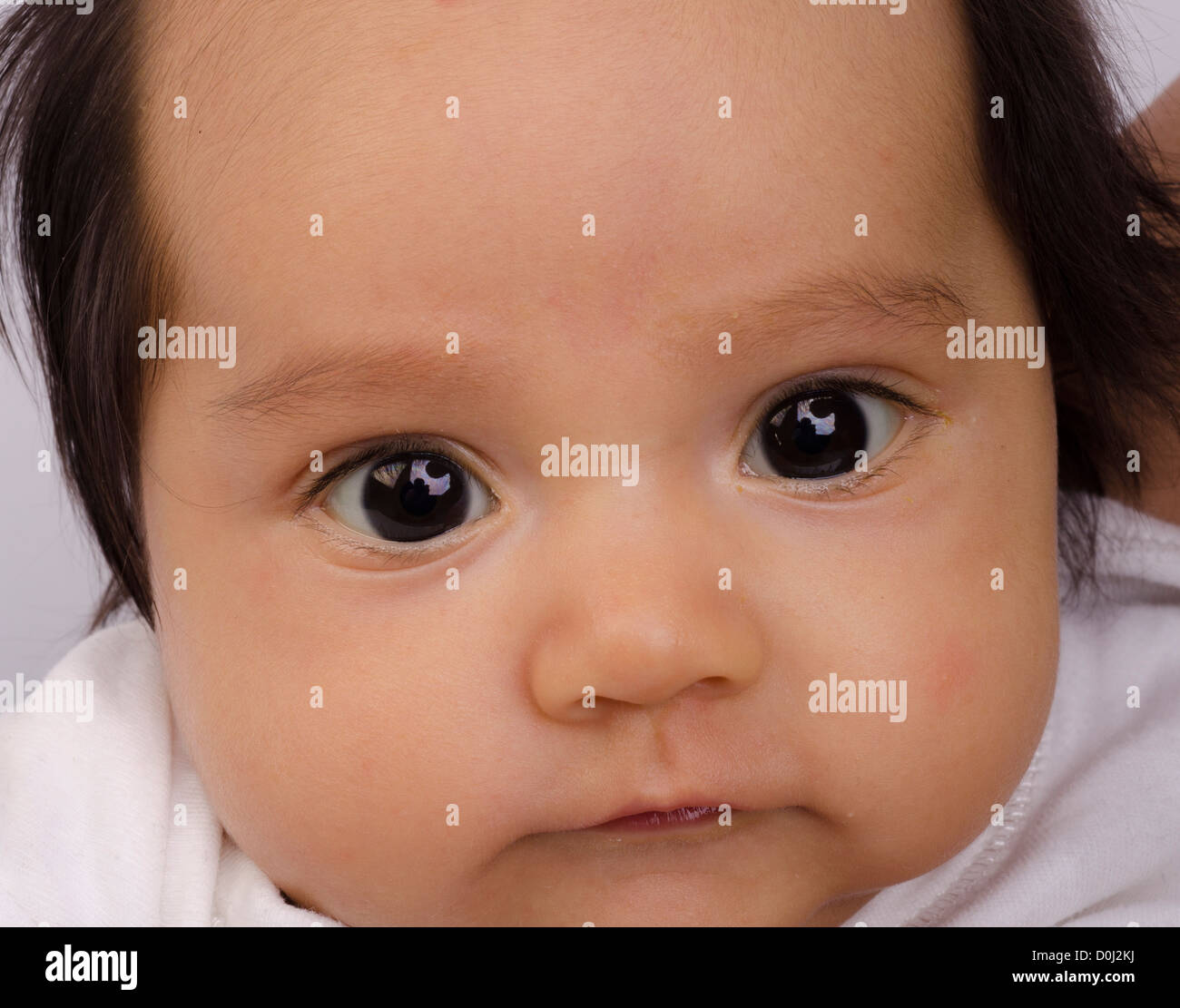 Chubby fat cheeks hi-res stock photography and images - Alamy