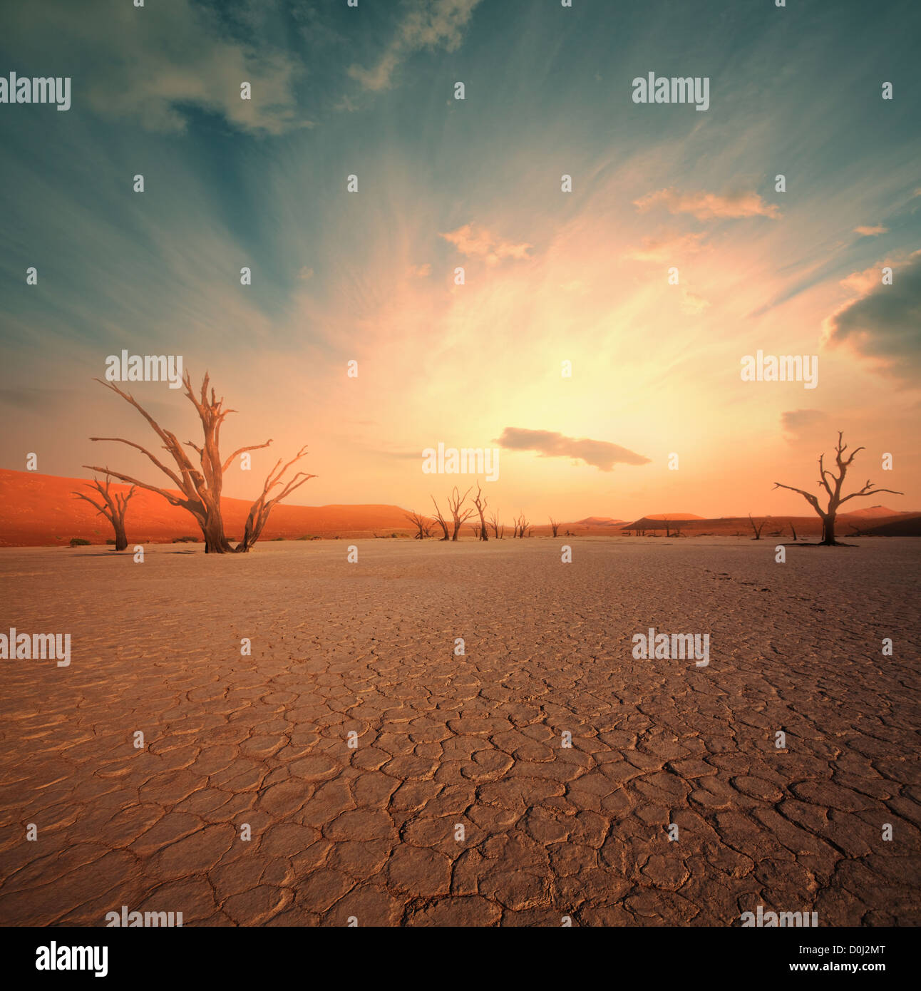 Dead valley in Namibia Stock Photo - Alamy