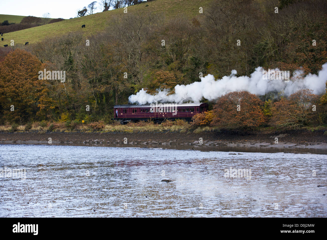 Railmotor on The Cornish Branch Line in Looe Stock Photo - Alamy