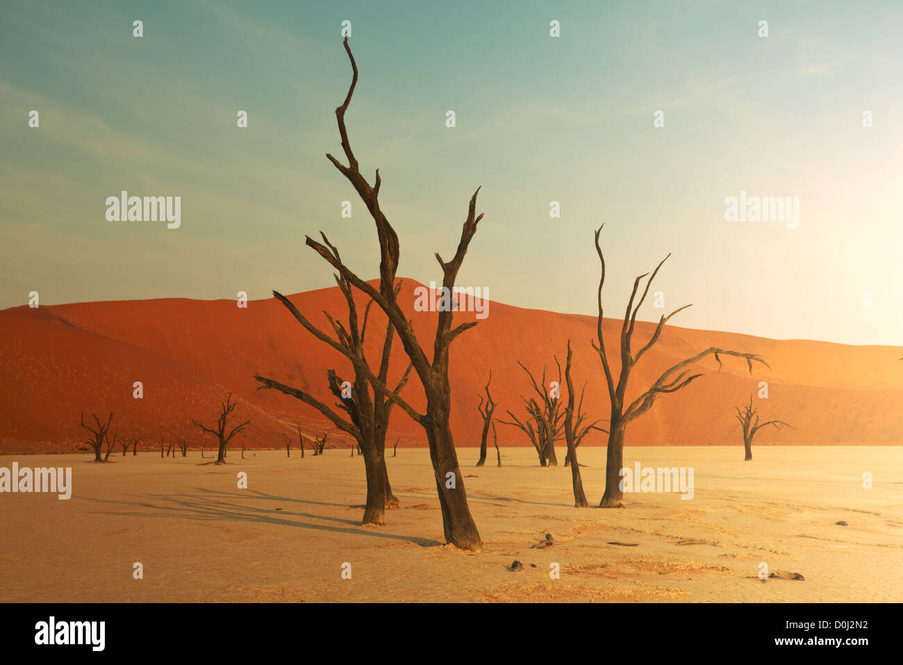 Dead valley in Namibia Stock Photo - Alamy