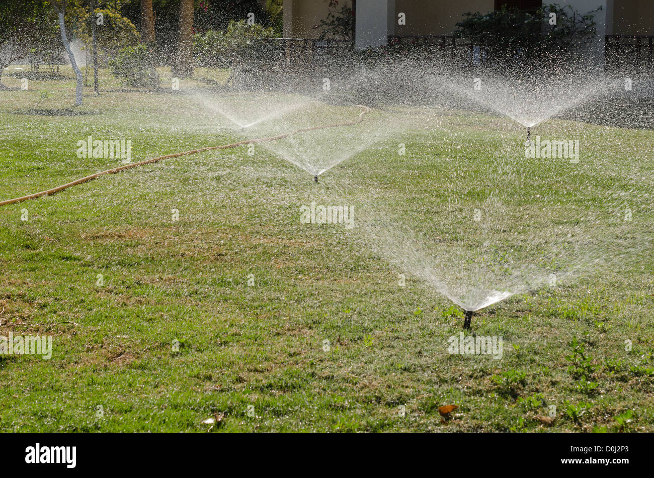 sprinkler green grass resort desert water Stock Photo - Alamy