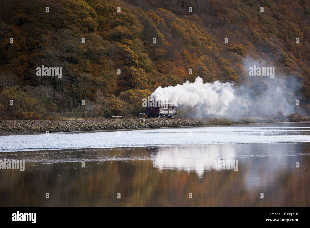 Railmotor on looe branch line hi-res stock photography and images - Alamy