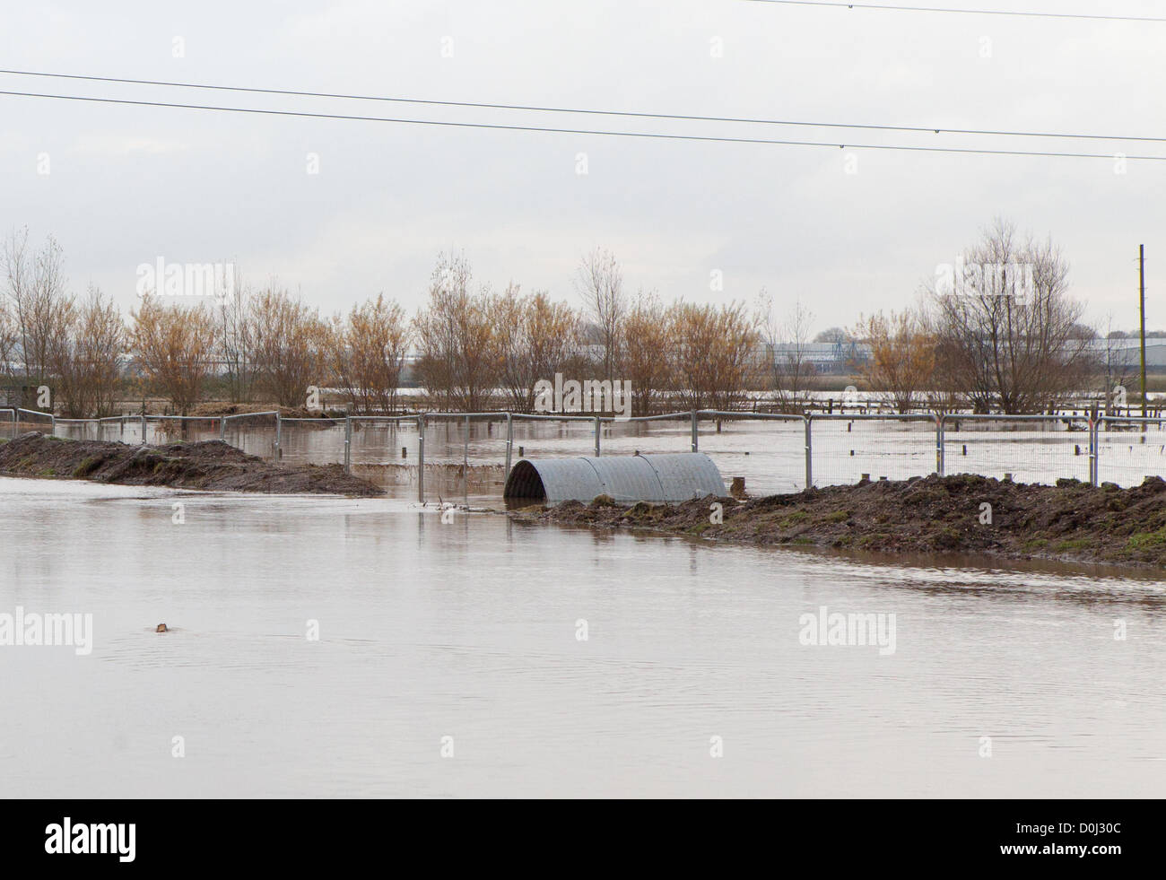 Pig arc hi-res stock photography and images - Alamy