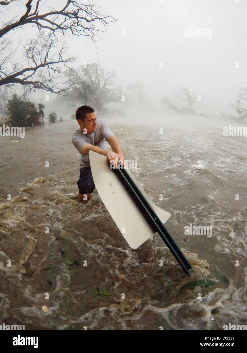 Clings to life hi-res stock photography and images - Alamy