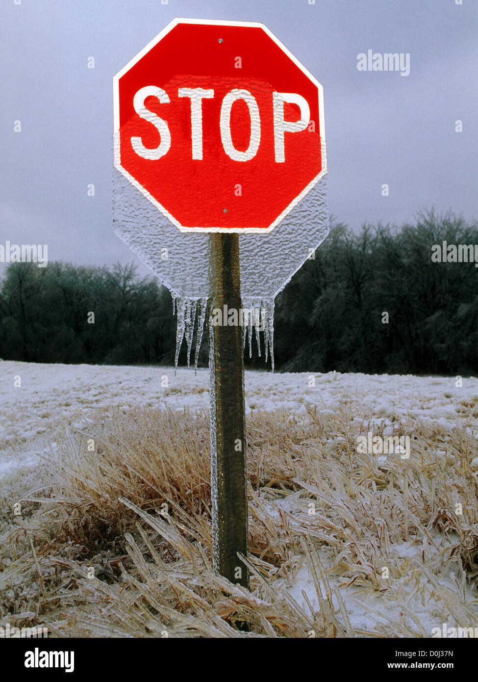 Dangle High Resolution Stock Photography and Images - Alamy