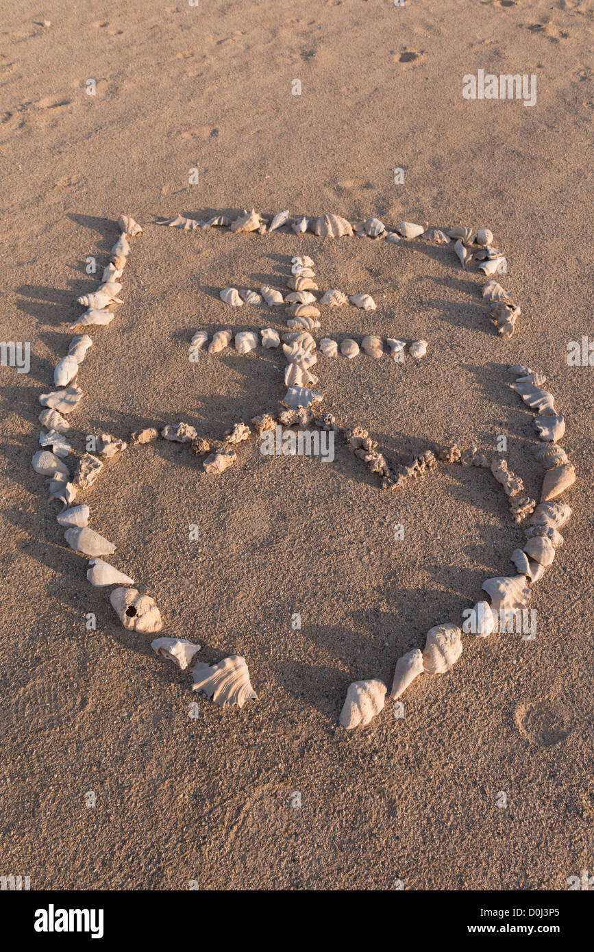 Egypt pattern stone beach shell Africa Stock Photo - Alamy