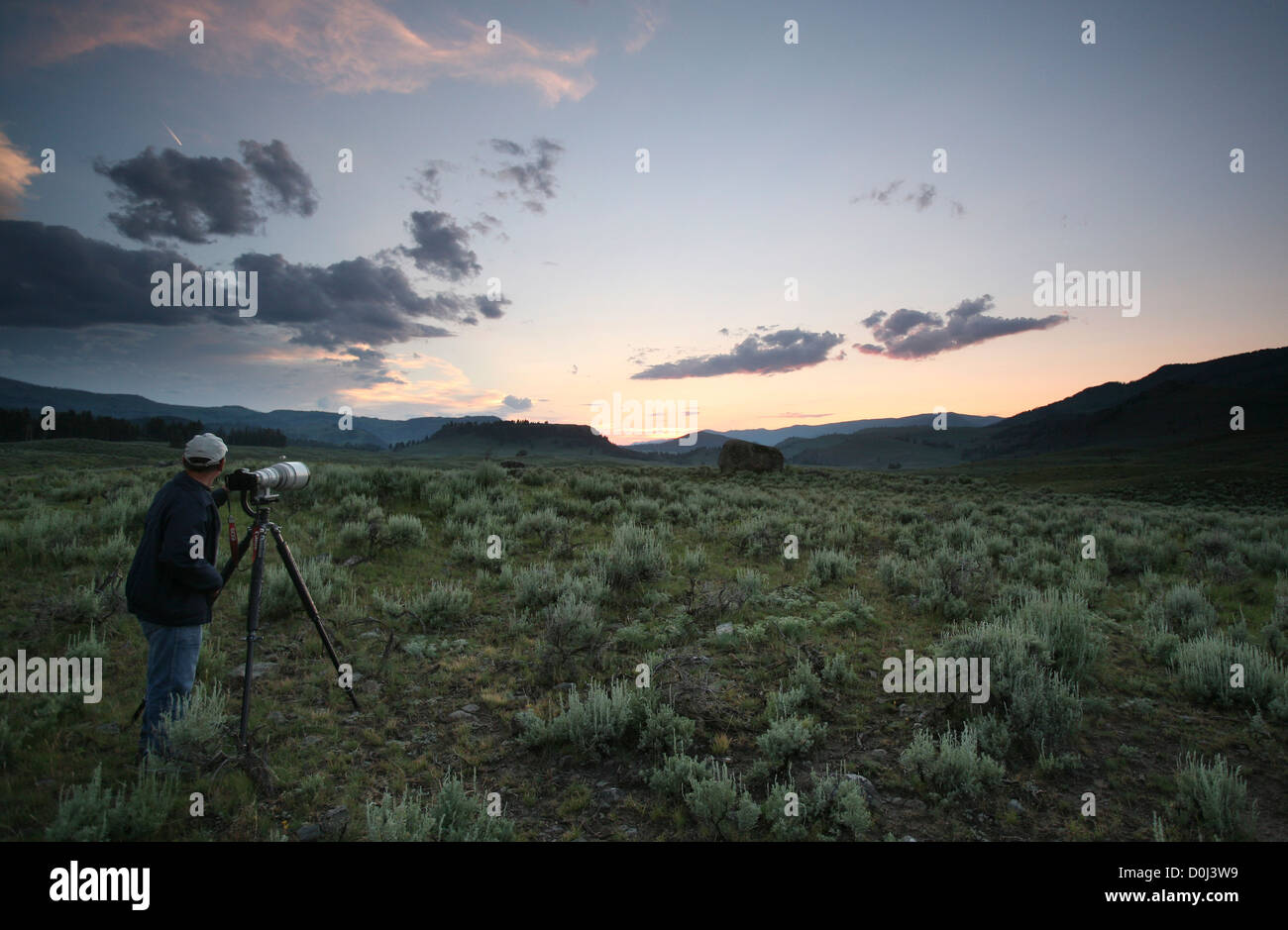 Photographer in Yellowstone National Park Stock Photo - Alamy