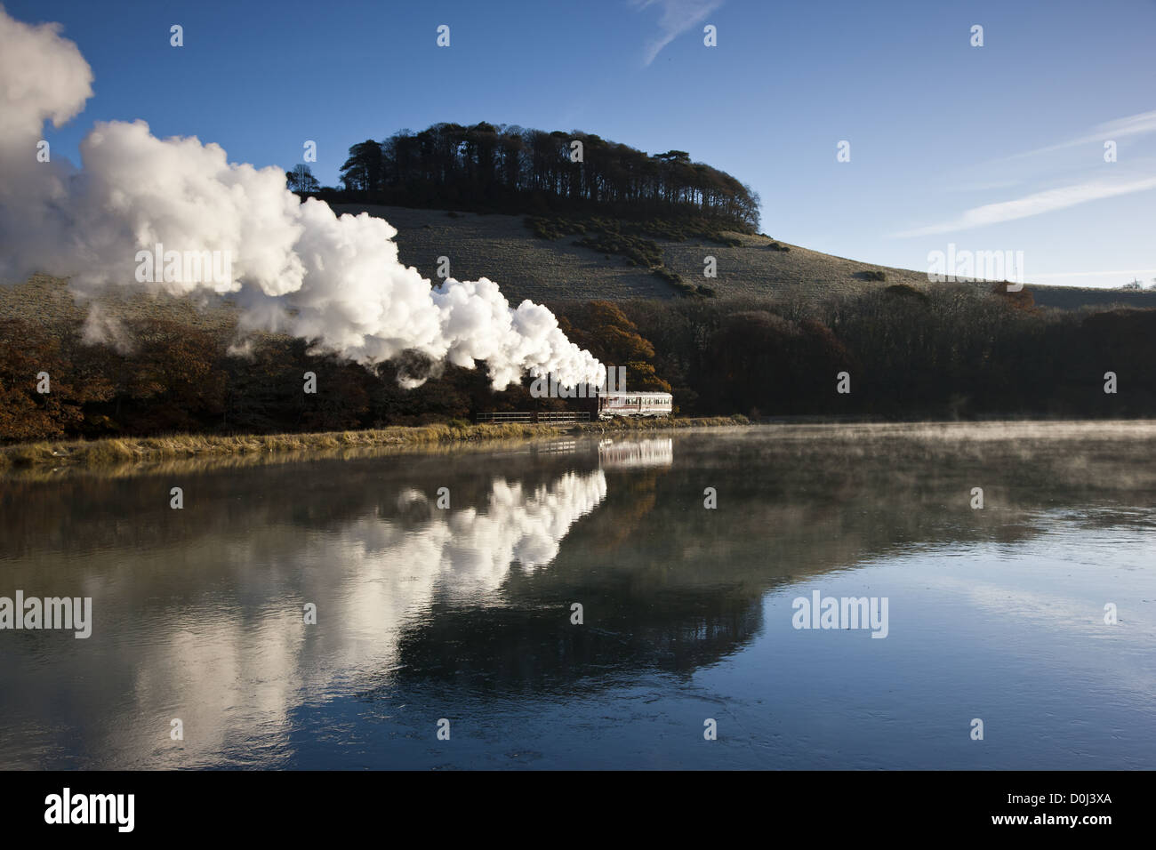 Railmotor on The Looe Branch Line Stock Photo - Alamy
