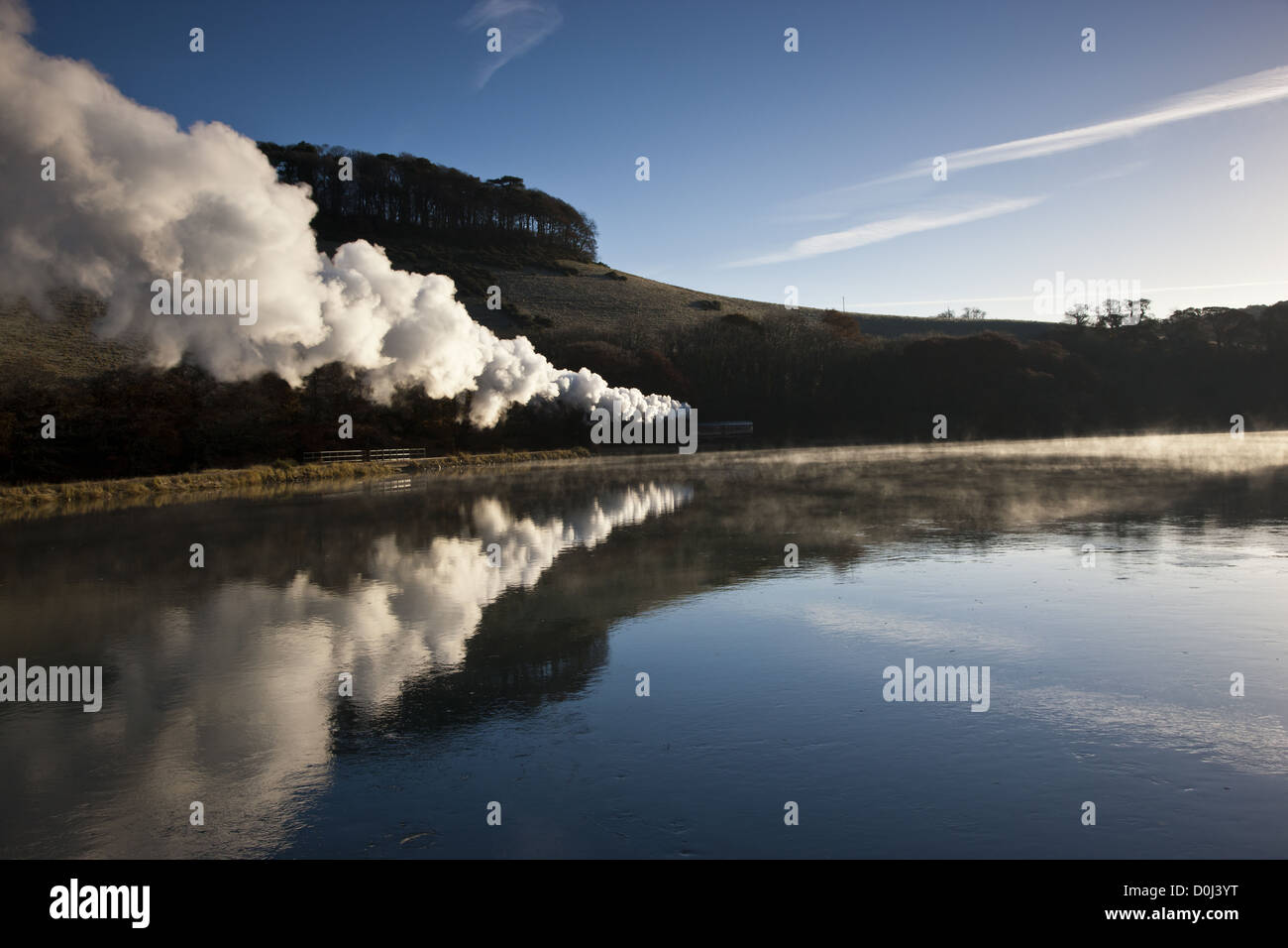 Railmotor on looe branch line hi-res stock photography and images - Alamy