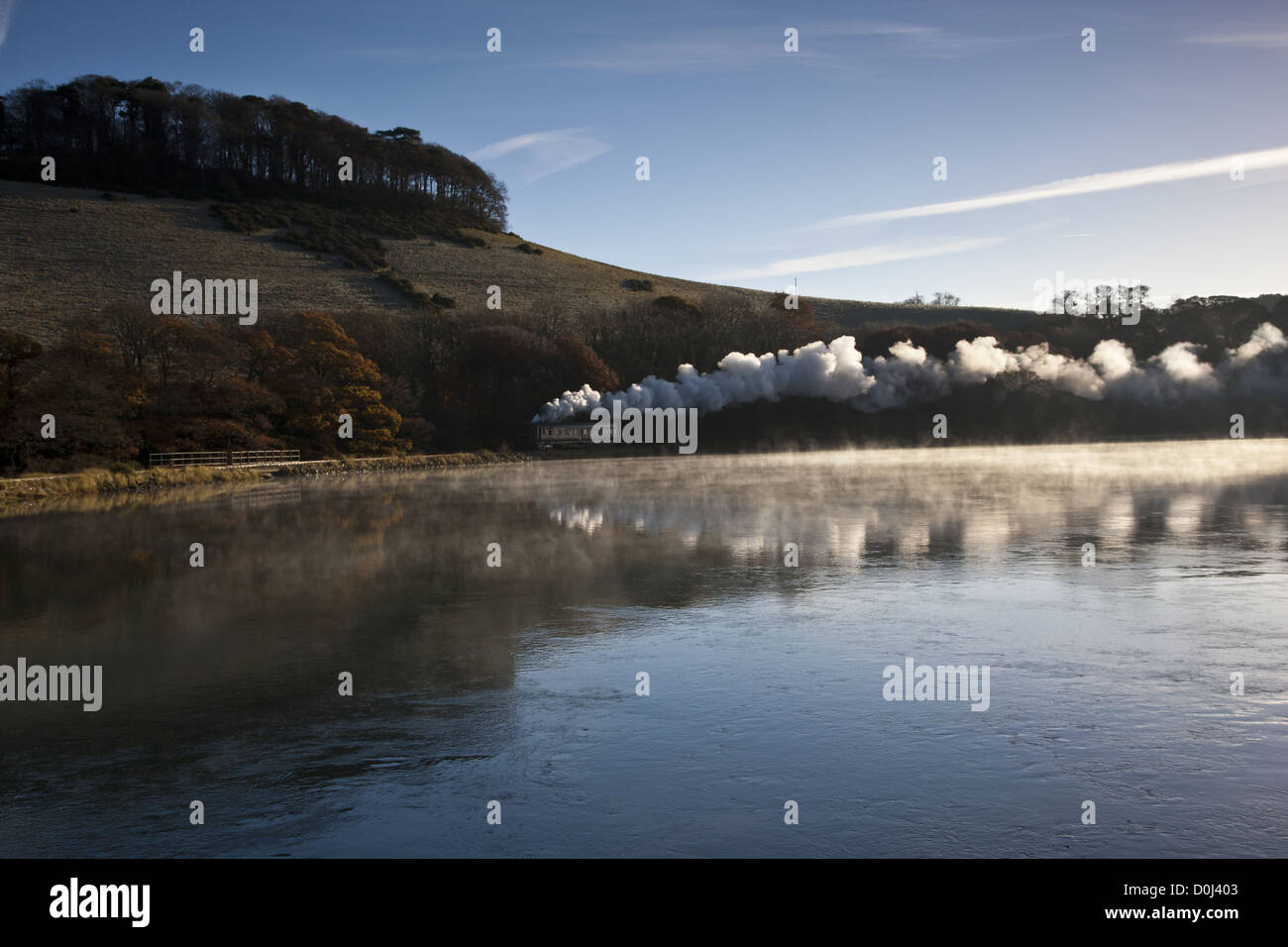 Railmotor on looe branch line hi-res stock photography and images - Alamy