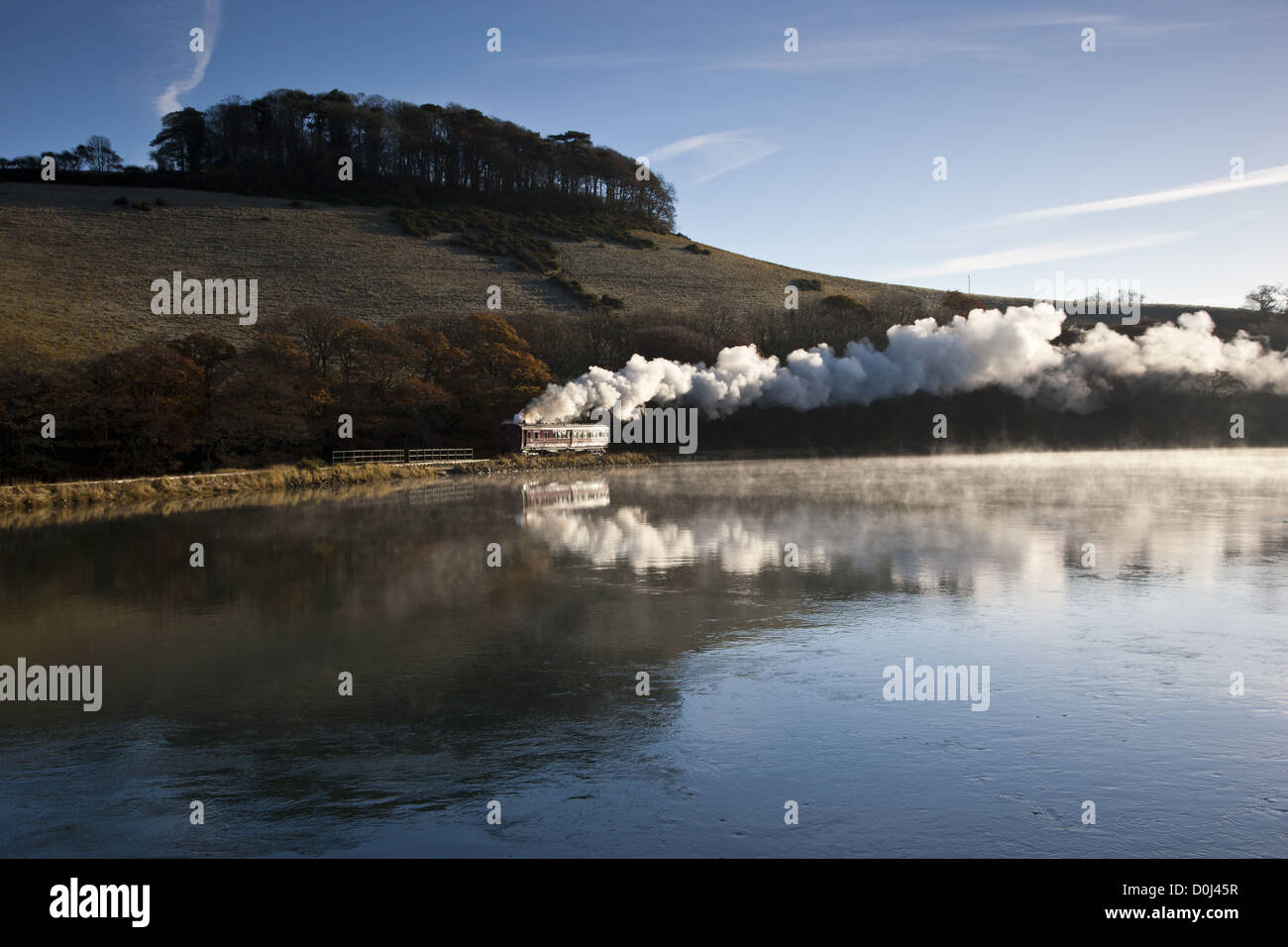 Railmotor on The Looe Branch Line Stock Photo - Alamy