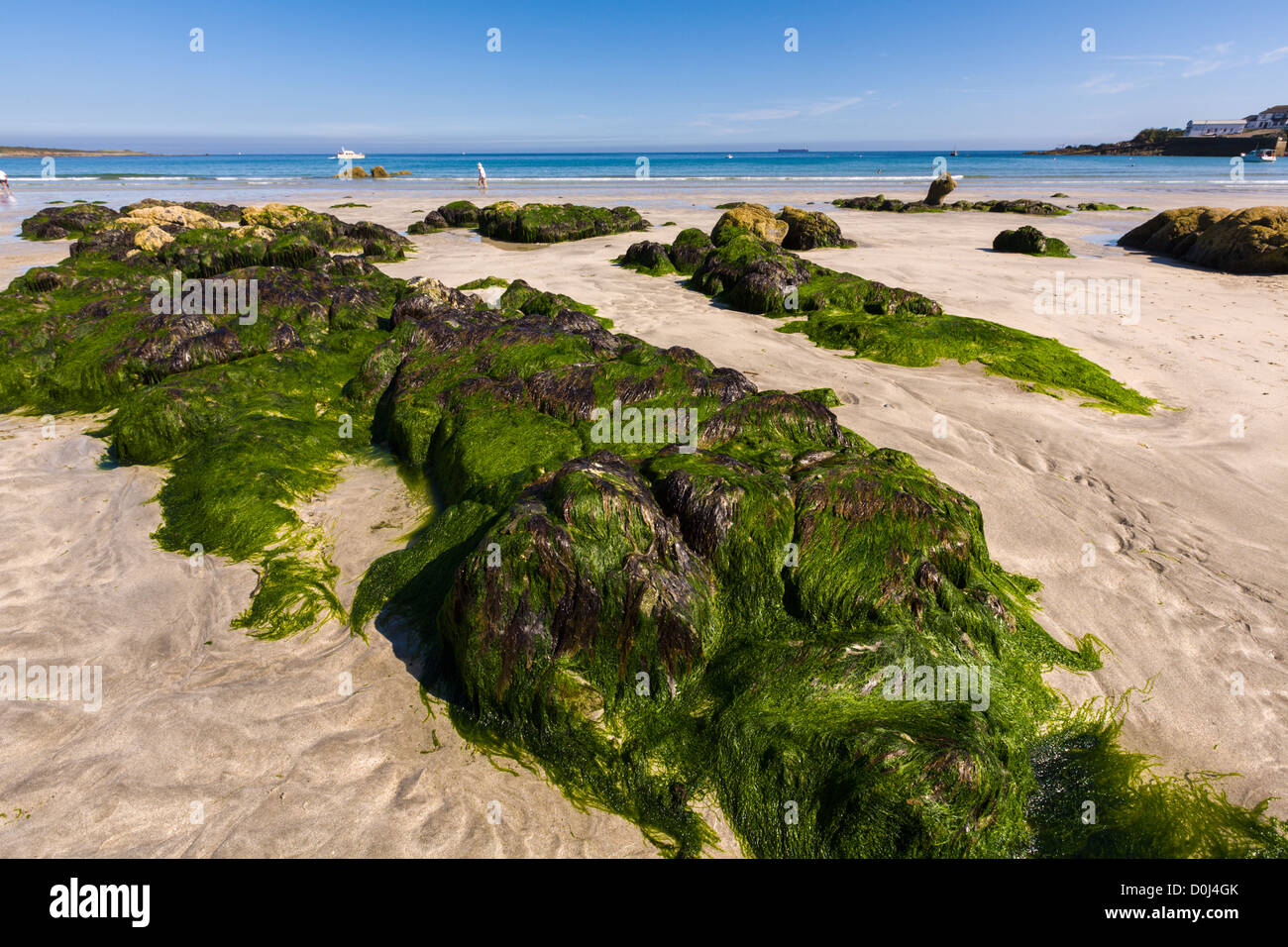 Coverack beach, Lizard peninsular, Cornwall, England Stock Photo - Alamy