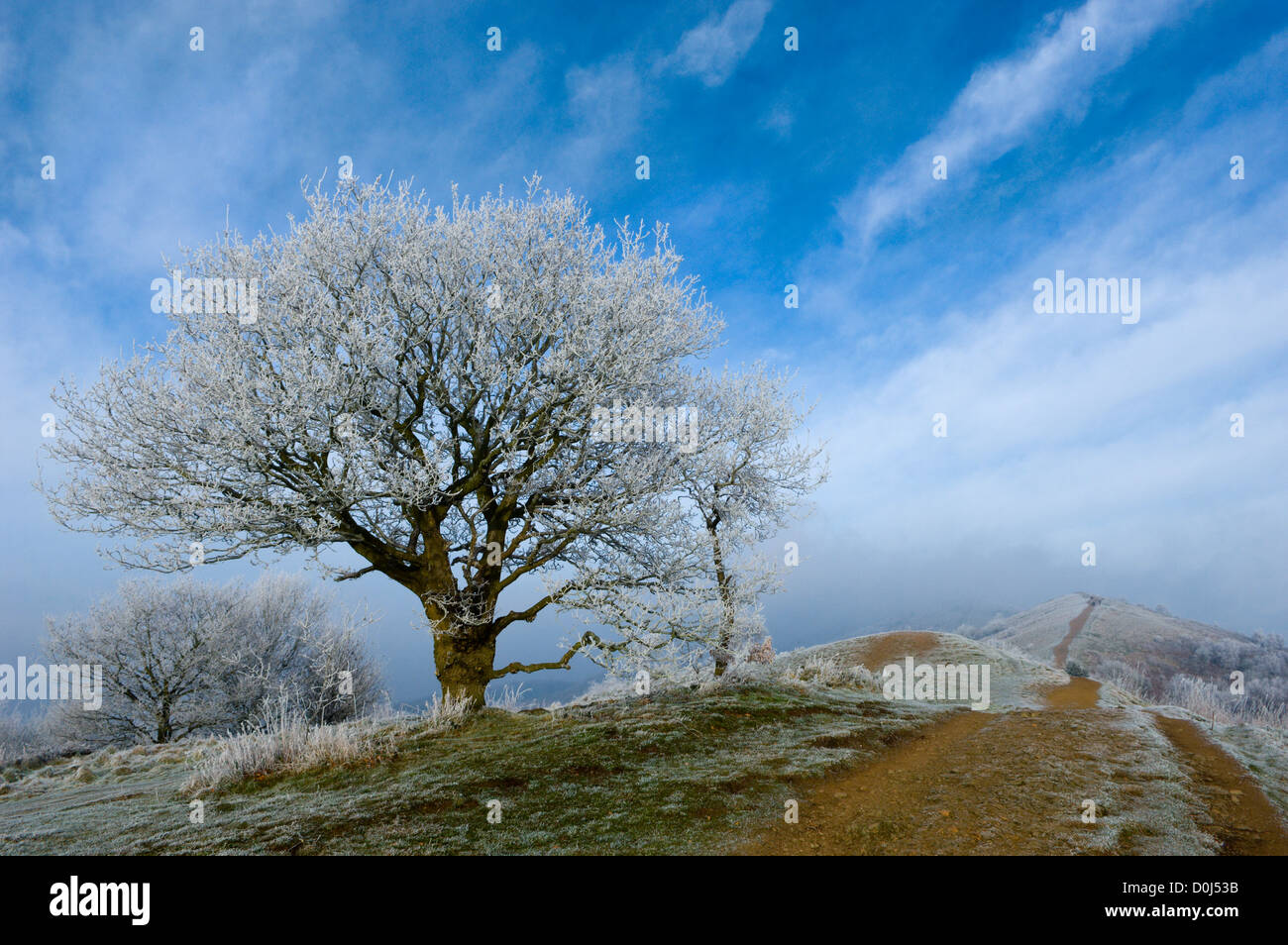 A frosty path across the Malvern Hills Stock Photo - Alamy