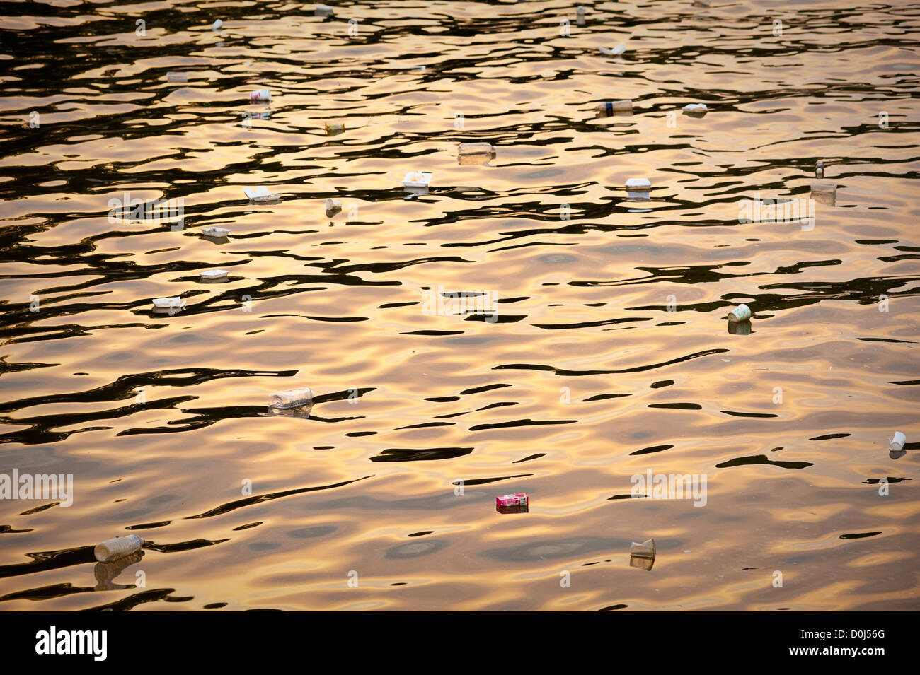 Debris floats in the water glowing with a golden sunset, Brunei Stock ...