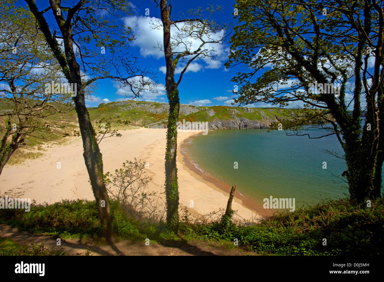 Barafundle Bay which is considered to have one of the UK's top ten ...