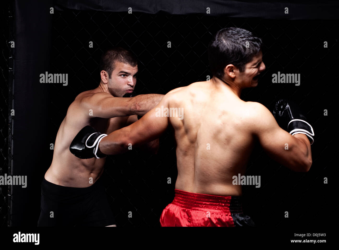 Mixed martial artists fighting - punching Stock Photo - Alamy