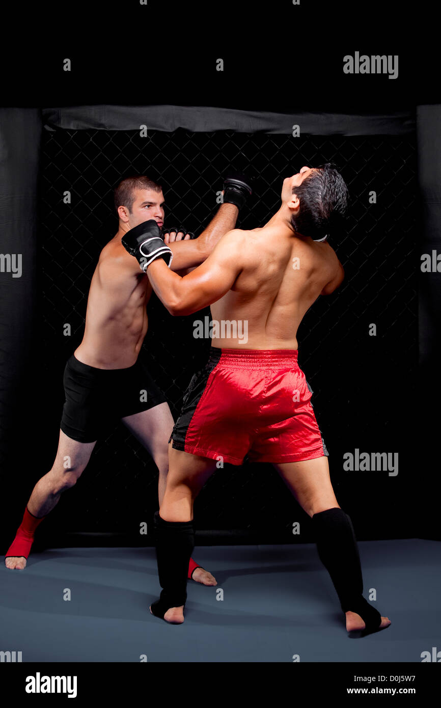 Mixed martial artists fighting - punching Stock Photo - Alamy