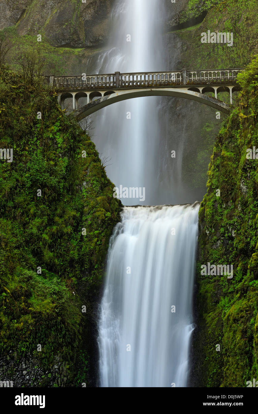 Multnomah Falls and Bridge, Columbia Gorge National Scenic Area, Oregon ...