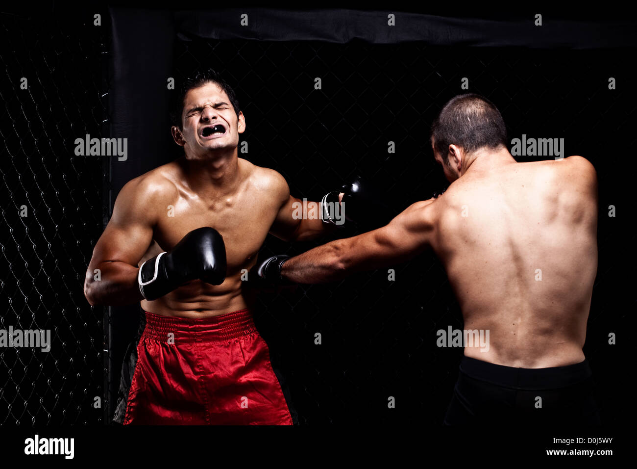 Mixed martial artists fighting - punching Stock Photo - Alamy