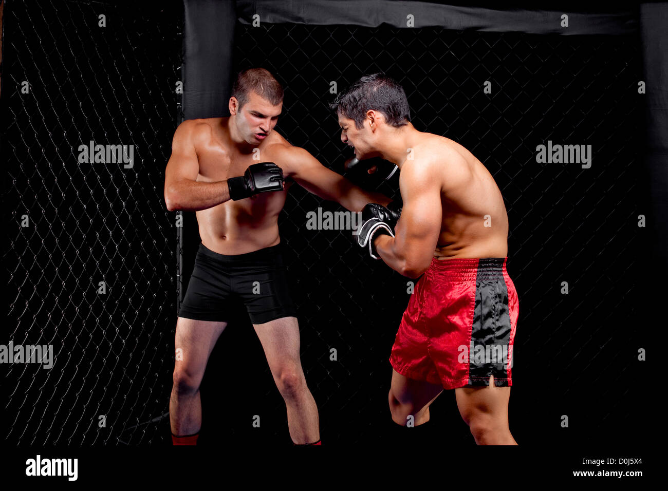 Mixed martial artists punching hi-res stock photography and images - Alamy