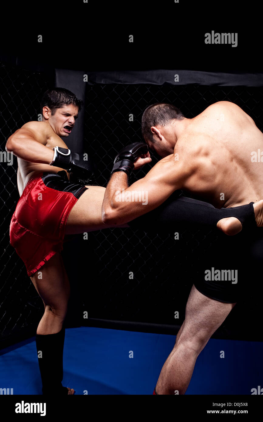 Mixed martial artists fighting - kicking Stock Photo - Alamy