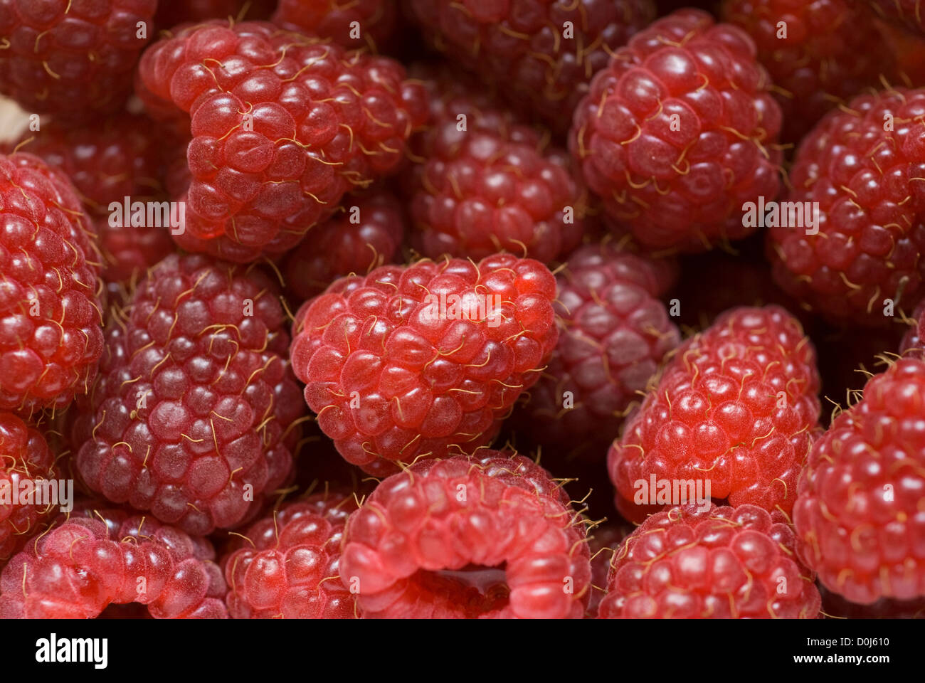 Raspberry bunch hi-res stock photography and images - Alamy