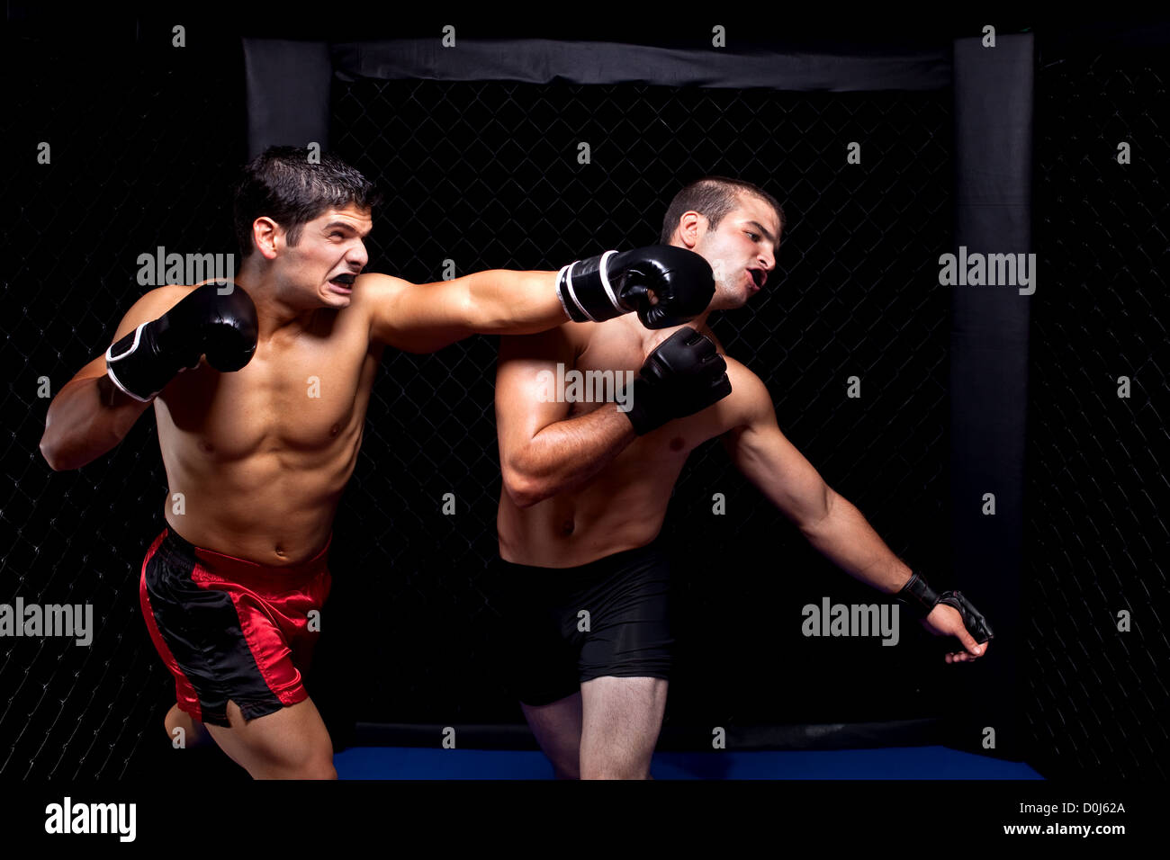 Mixed martial artists fighting - punching Stock Photo - Alamy