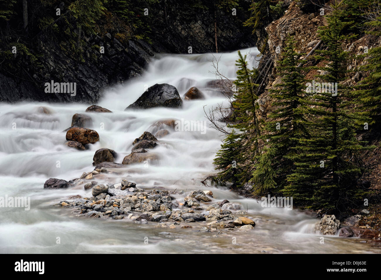 Yoho np yoho national park hi-res stock photography and images - Alamy
