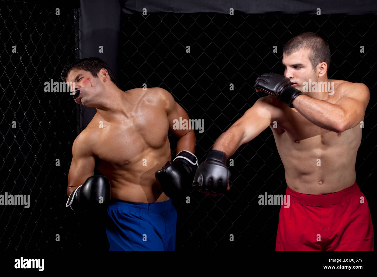 Mixed martial arts hi-res stock photography and images - Alamy
