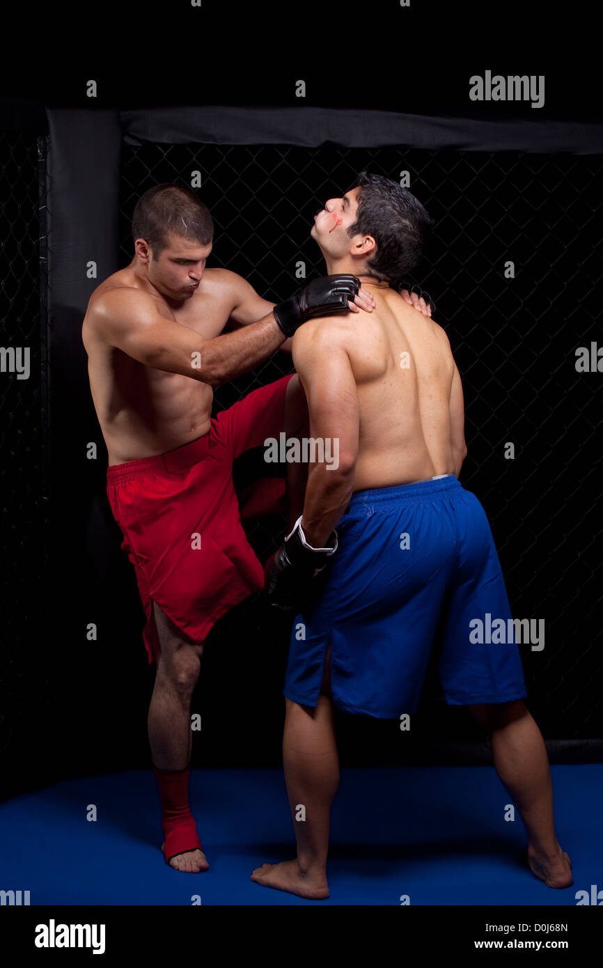 Mixed martial artists fighting Stock Photo - Alamy