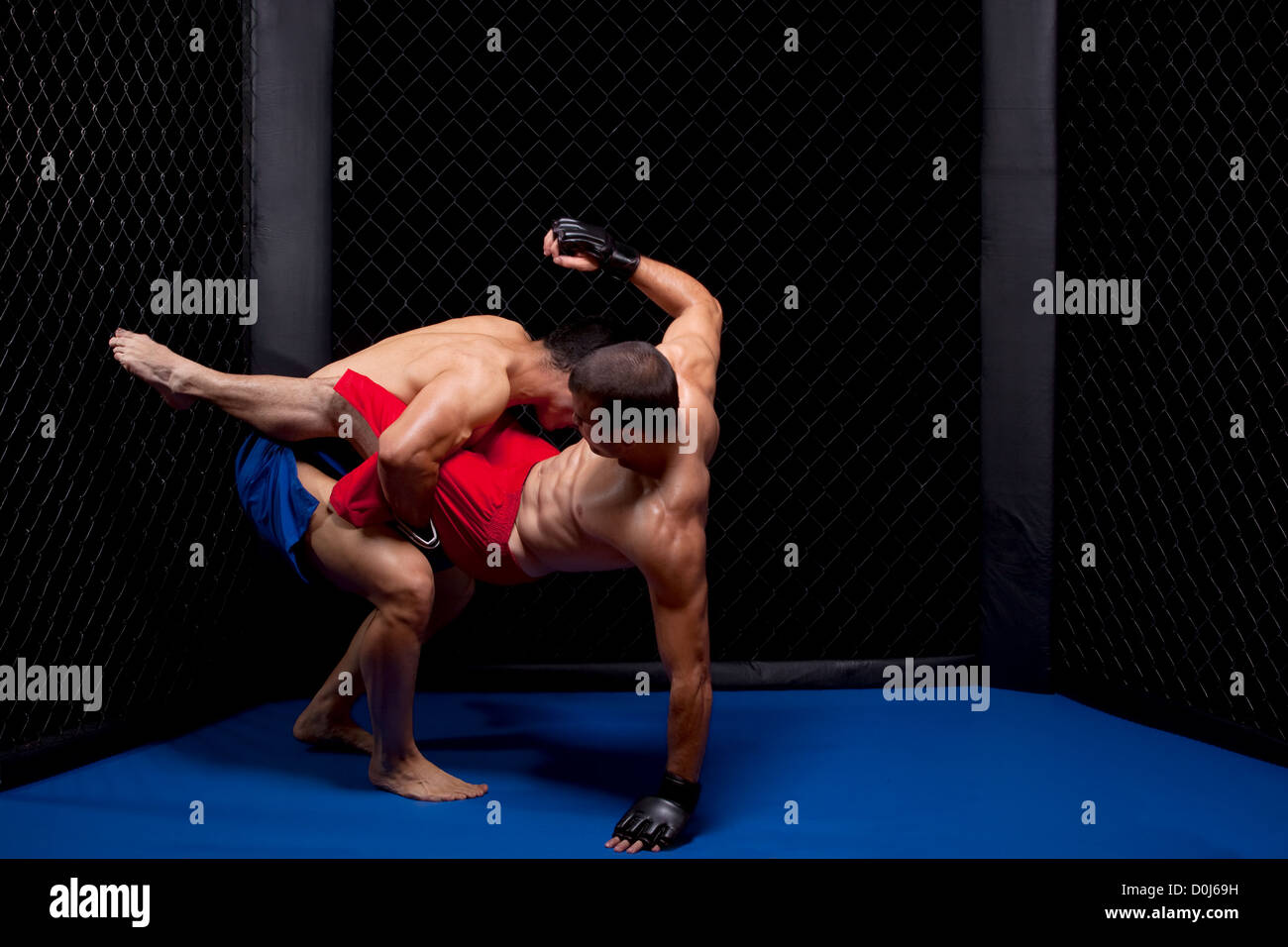 Mixed martial artists fighting Stock Photo - Alamy