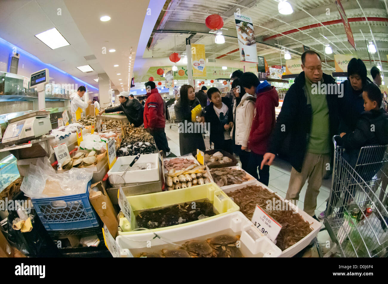 Shoppers new sky foods supermarket hi-res stock photography and images ...